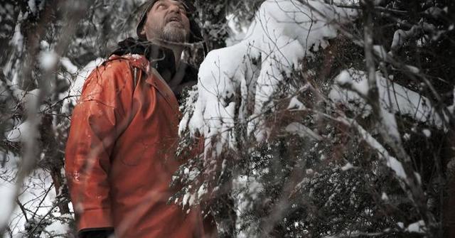 'Port Protection' — Latest News and Updates