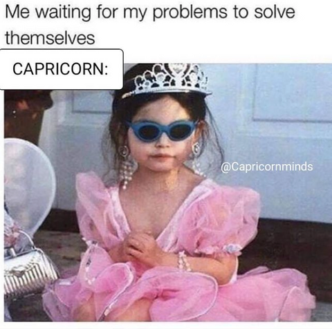 These Capricorn Season Memes Will Totally Speak to Your Inner Goat