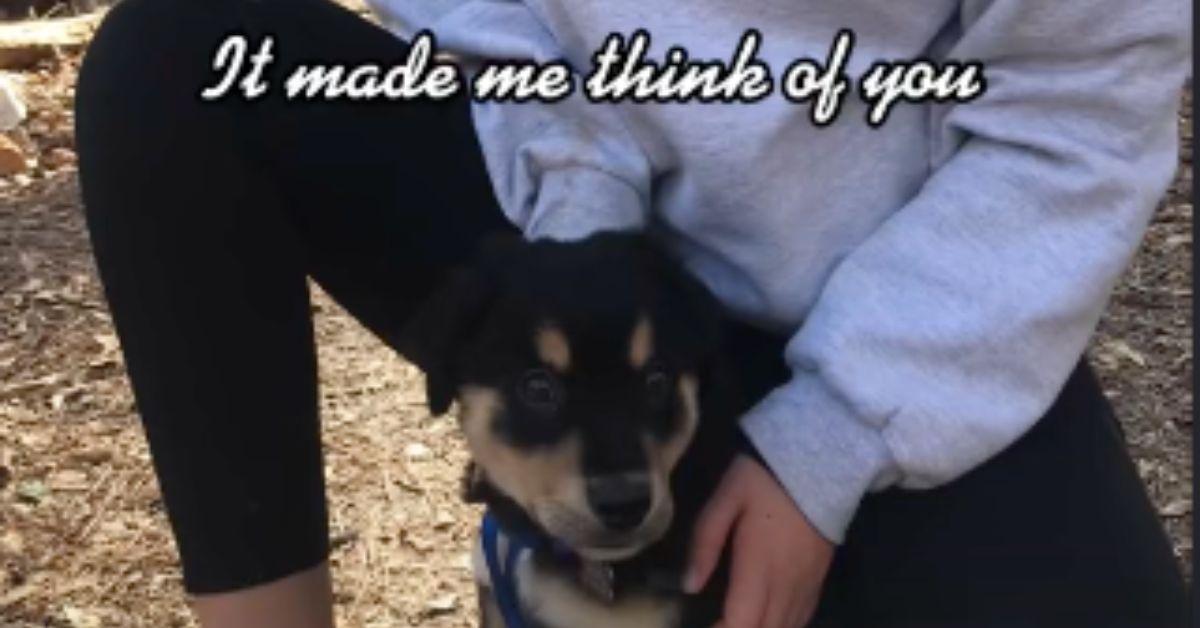 "It Made Me Think of You" TikTok Song Explained