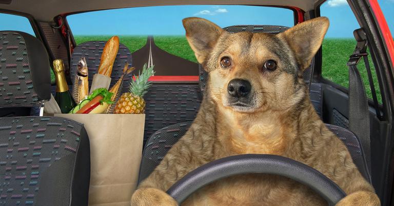 23 August Jokes to Make You End Summer With a Laugh