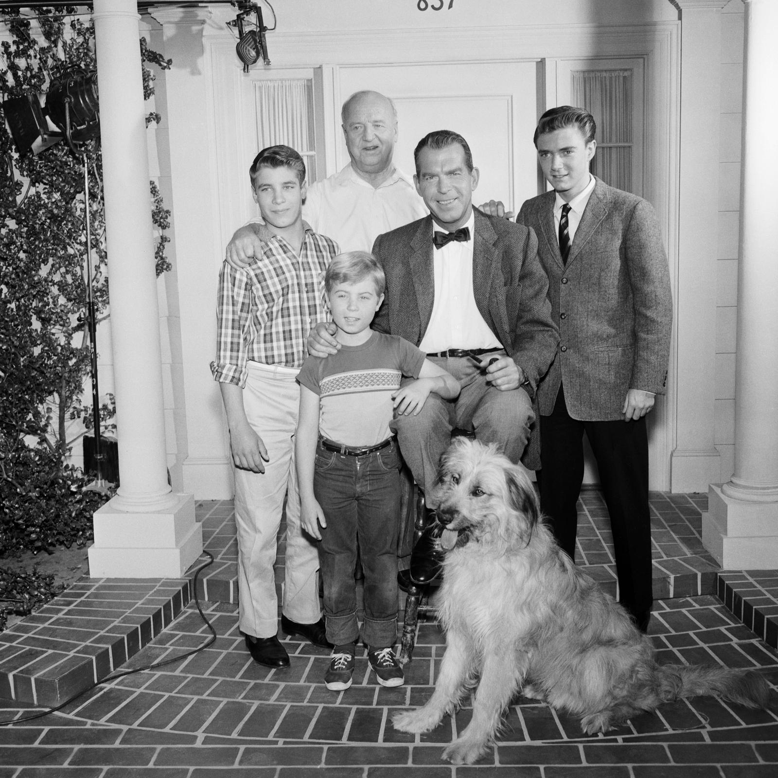 What Happened to Bub on ‘My Three Sons’? He Disappeared in Season 5