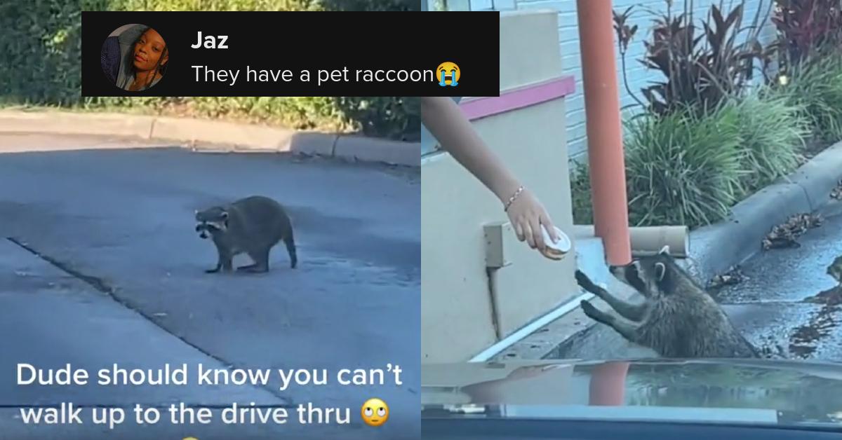 Raccoon Charms Customer with Impeccable Manners at Dunkin' Drive-Thru