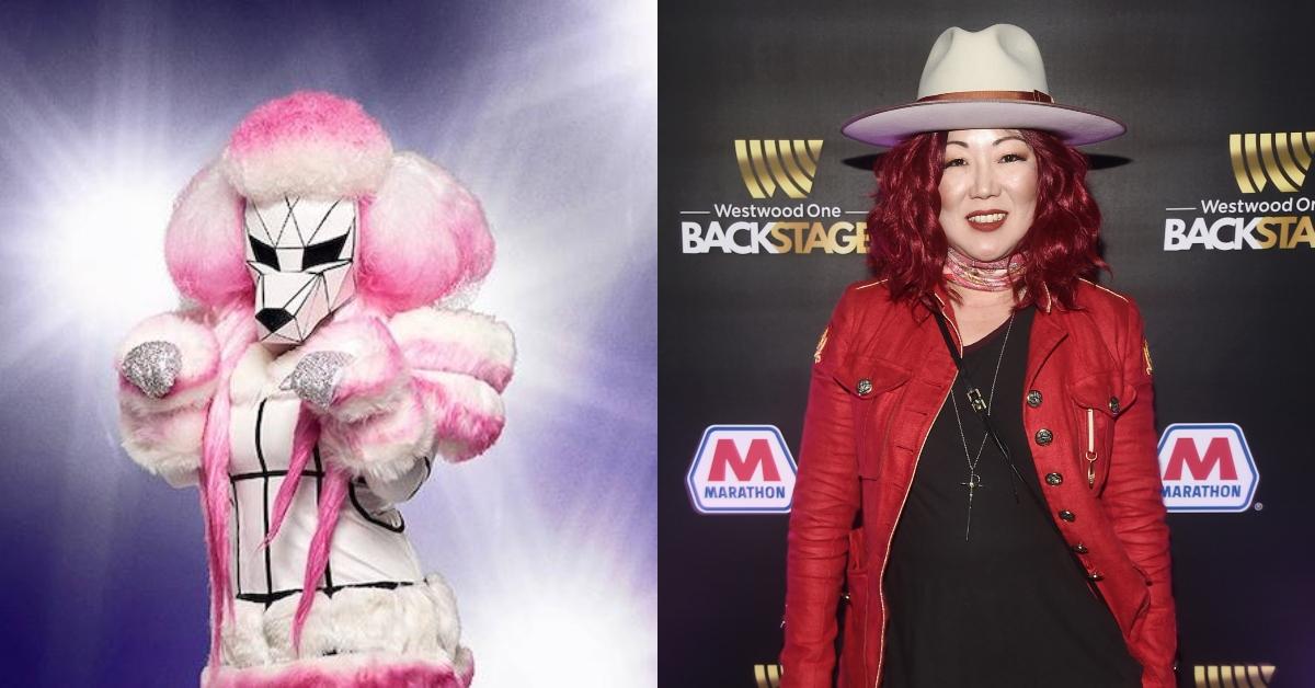 Who Has Been Unmasked on 'The Masked Singer'? Every Star Revealed