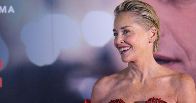 Did Sharon Stone Have a Stroke?