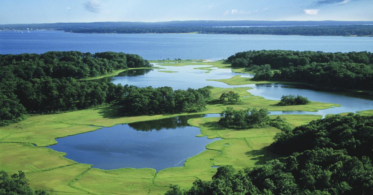 Did You Know NYC Has Some of the Cleanest Tap Water in the World?