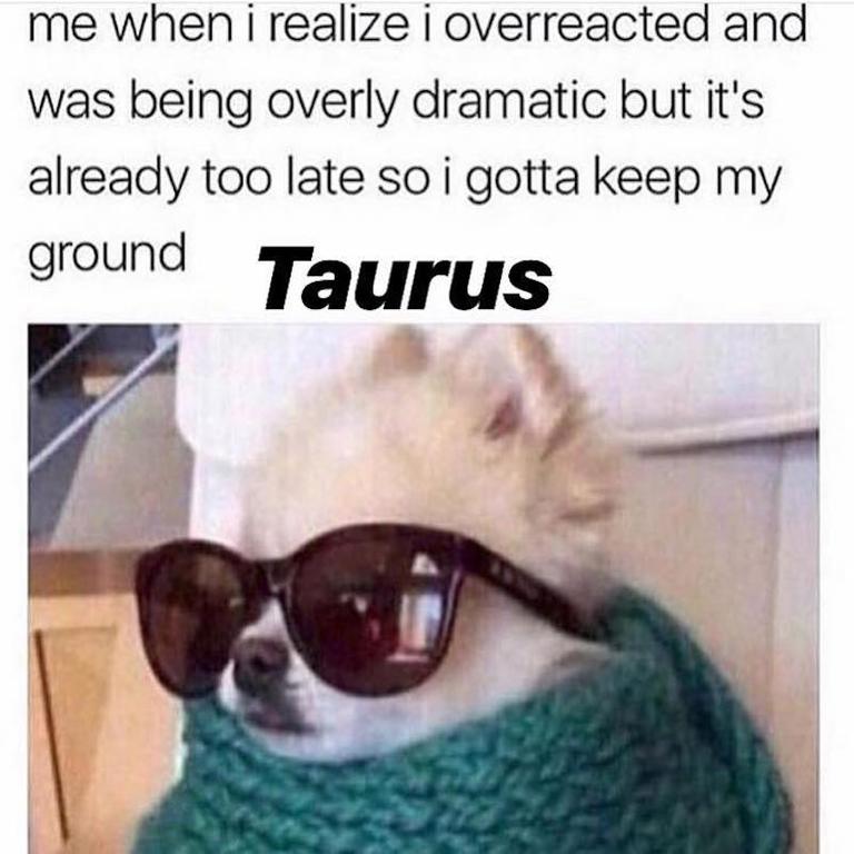 10 Totally Relatable Taurus Season Memes to Send to Your Besties!