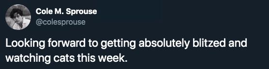 Follow These 15 Underrated Celebrity Twitter Accounts