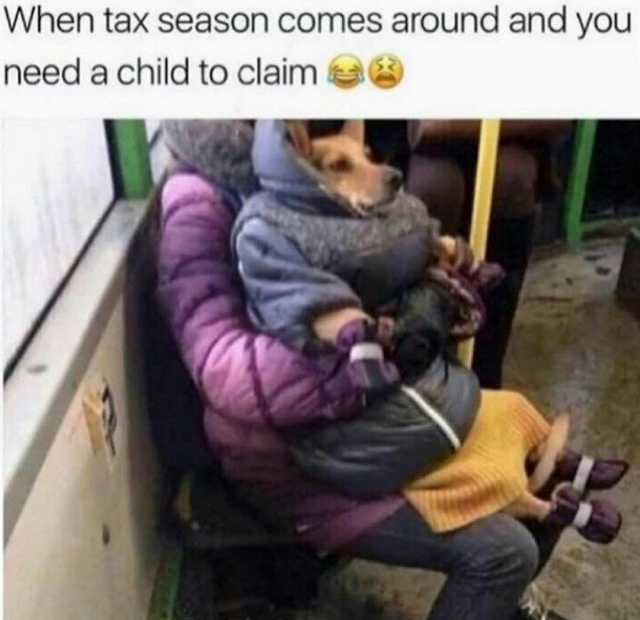 21 Tax Day Memes to Help You Cope With Tax Season Feels