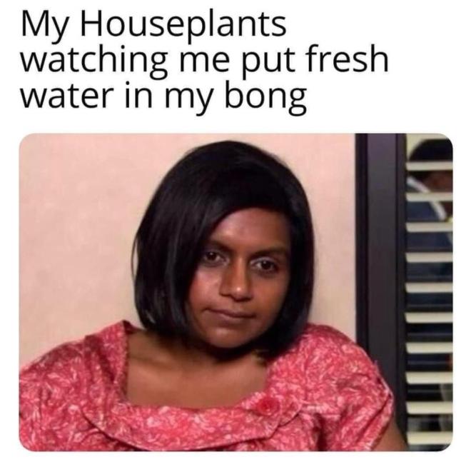 Let's Get Into These 420 Memes and Jokes!