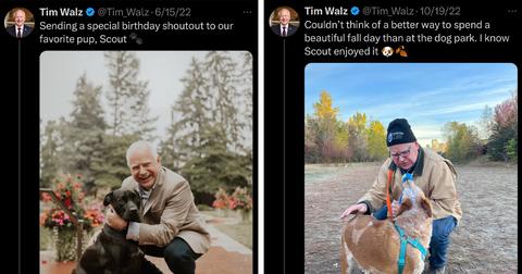 No, Tim Walz Does Not Have Two Dogs Named Scout
