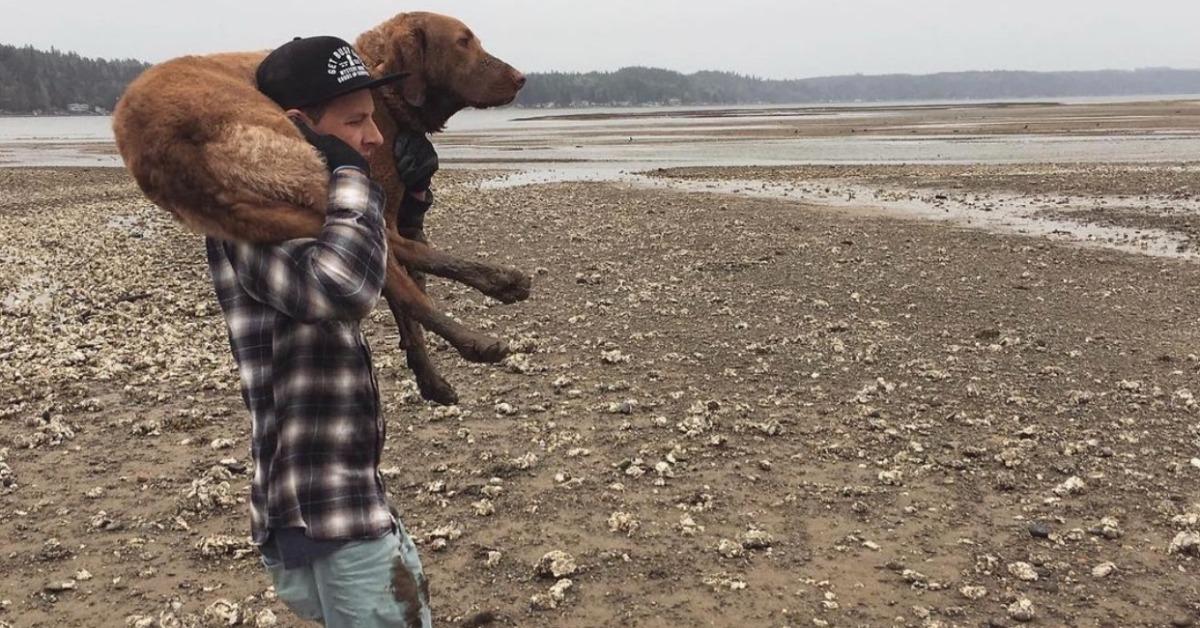 Johnny Rolfe Is Proving That He Means Business on 'Life Below Zero'