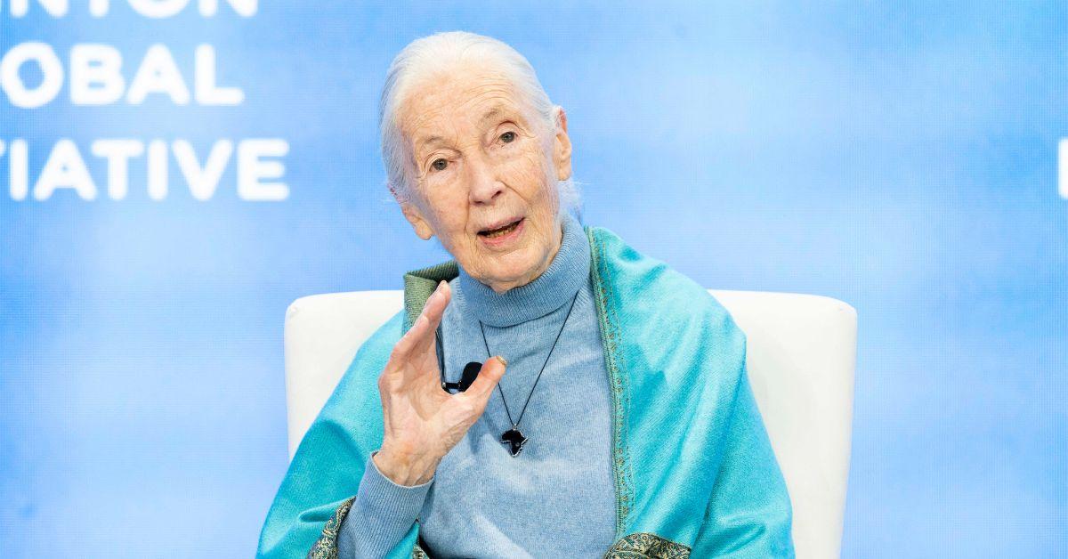 Jane Goodall's Christian Faith Was Key to Her Worldview