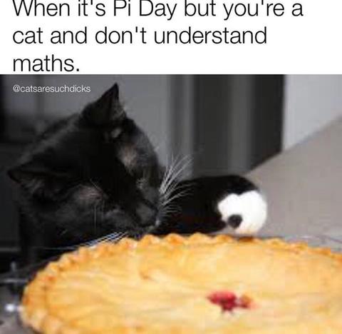 Pi Day Jokes and Memes to Share With Your Nerdiest Friends and Family