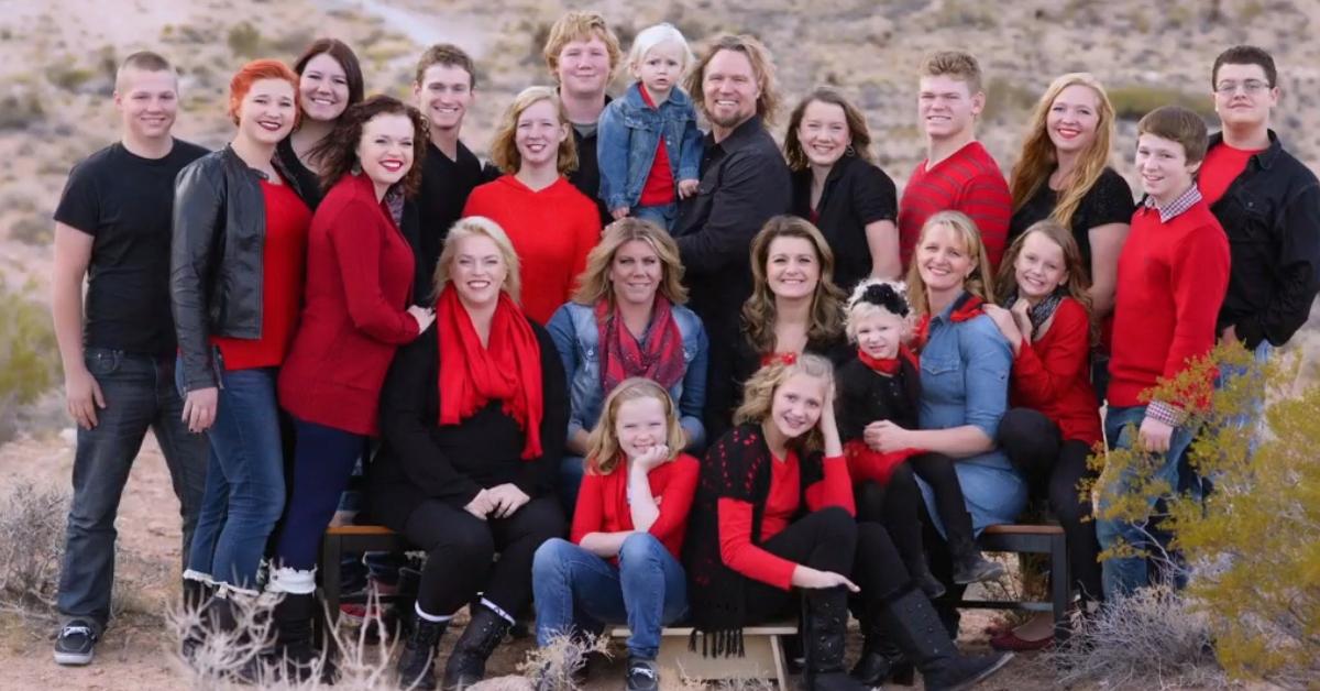 Who Are Robyn Brown's Kids on Sister Wives?