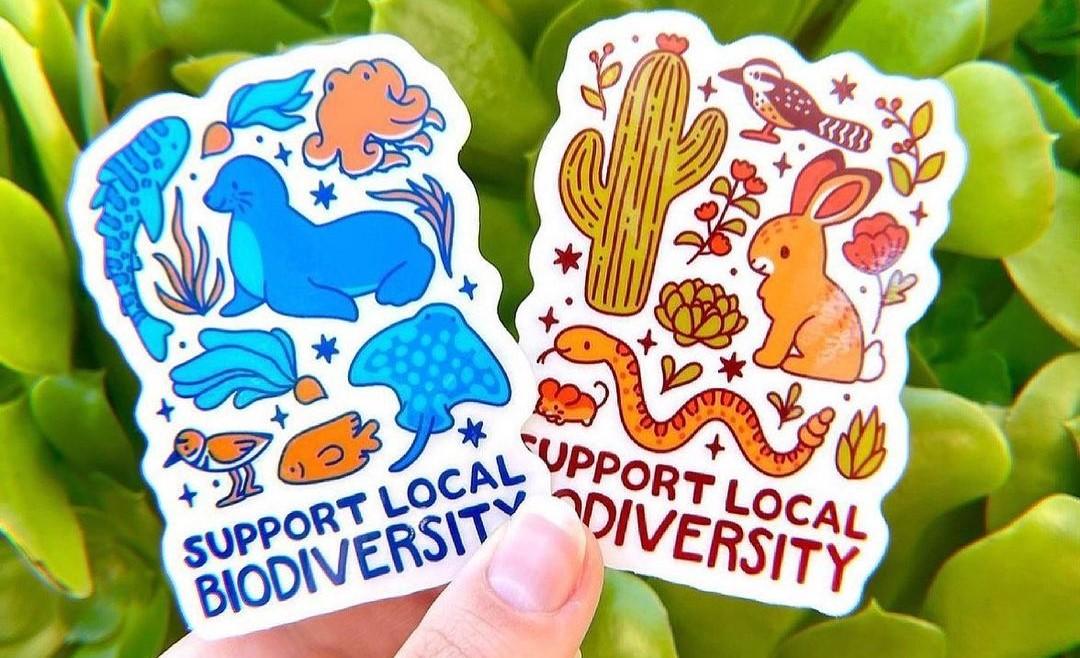 Here Are Some Alternatives to Sticker Mule