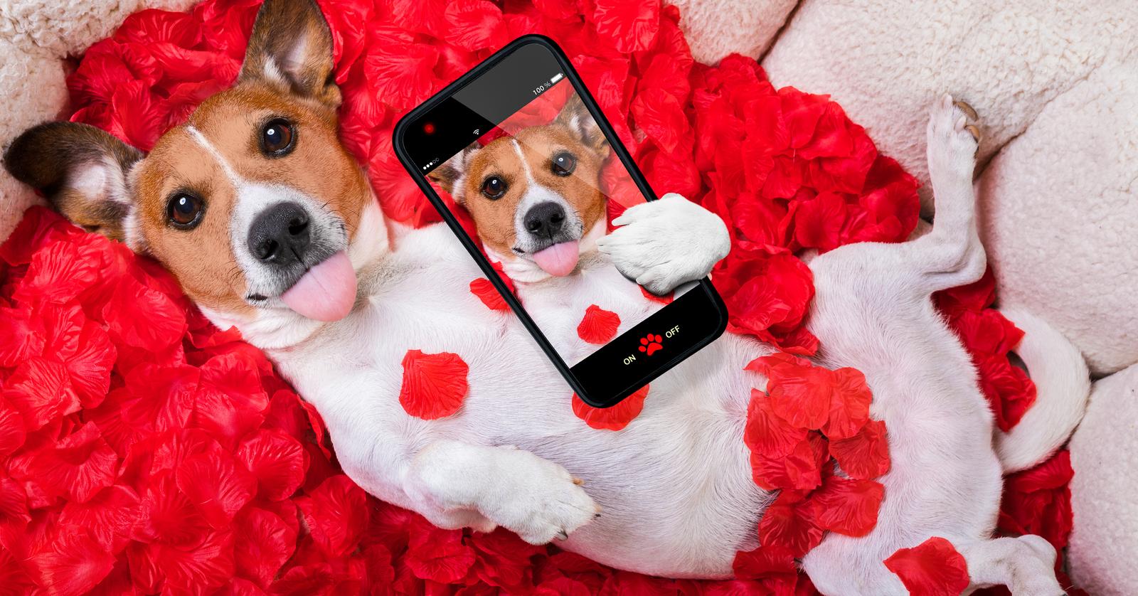 40 Valentine s Day Instagram Captions That Are Sweet Flirty And Creative 40-valentine-s-day-instagram-captions-that-are-sweet-flirty-and-creative