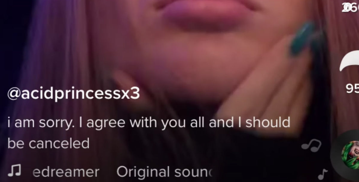 What Happened to Acid Princess on TikTok? We're Spilling Tea