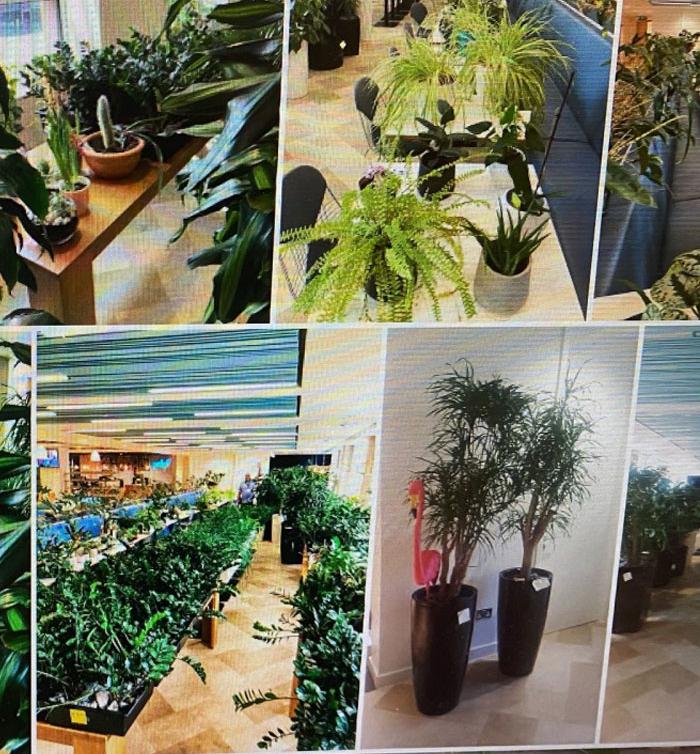 Security Guards Labeled and Watered Office's Plants During Three-Month ...