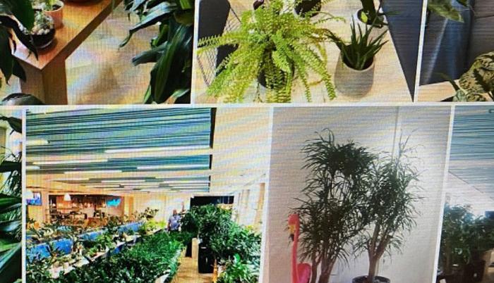 Security Guards Labeled and Watered Office's Plants During Three-Month ...