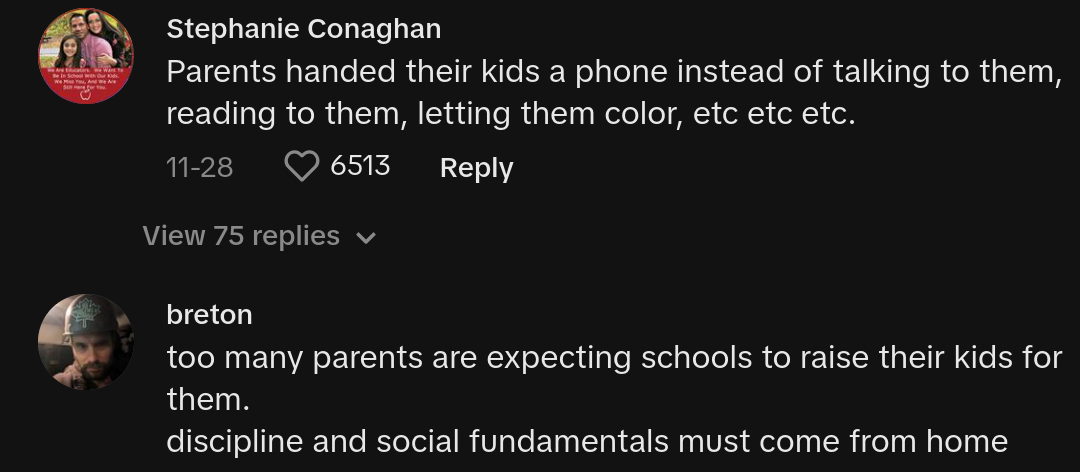 Gen Alpha Is Impossible to Teach, Educator Blames Parents