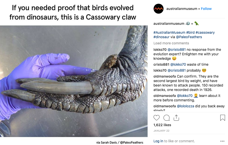 Man Killed by Bird in Florida, His Pet Cassowary