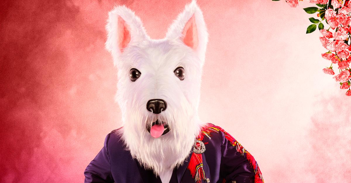 What Happened to Firefly on 'The Masked Singer'? Here's What We Know ...