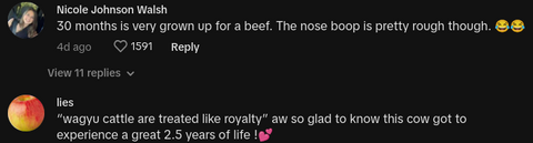 “Tragic” Wagyu Beef Death Certificate Goes Viral