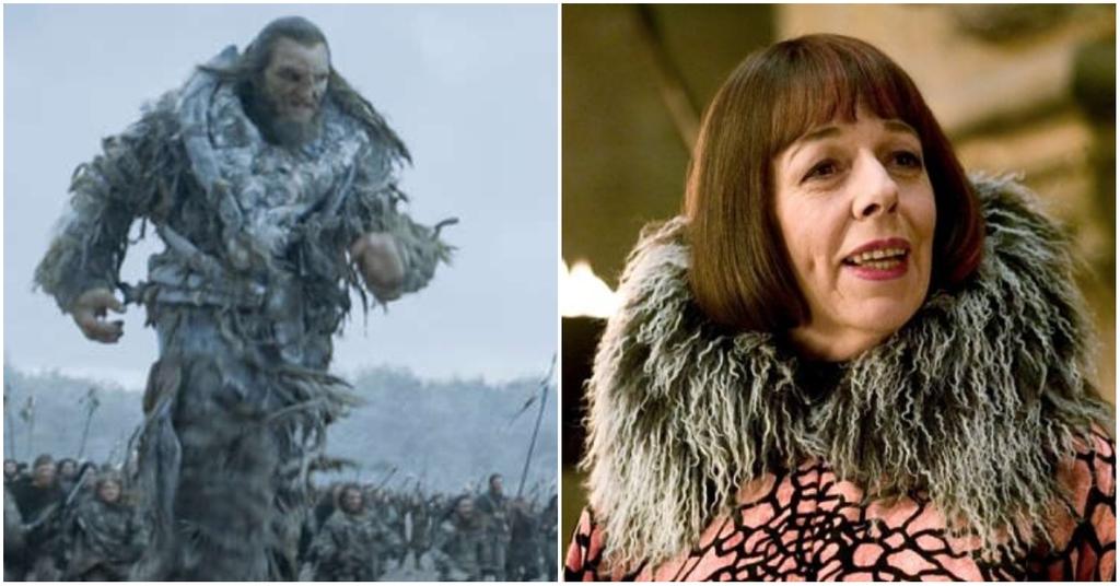 Every 'Game of Thrones' Stars Who Was in 'Harry Potter', Too